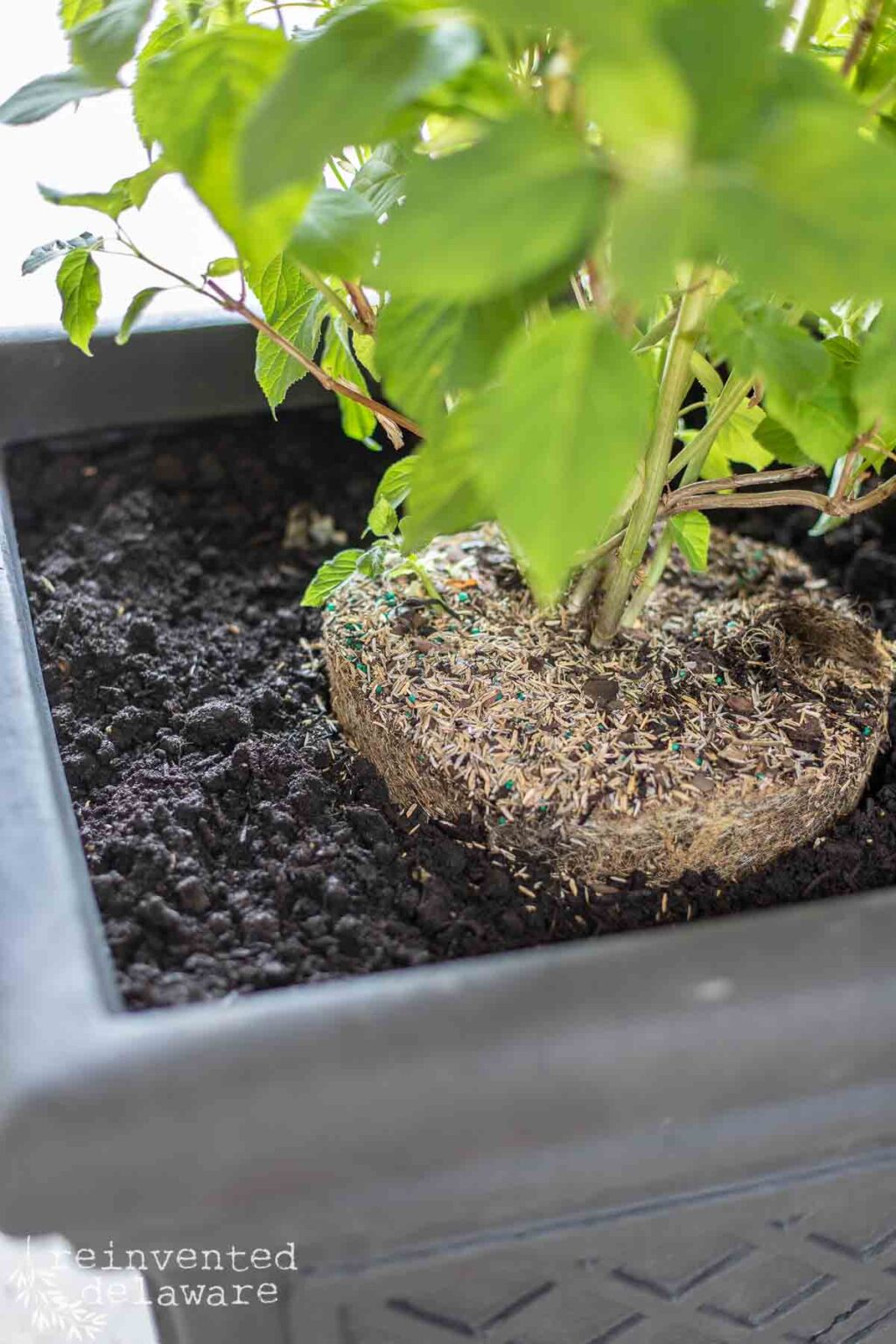 19+ Brilliant Upcycled Planter Ideas - Reinvented Delaware