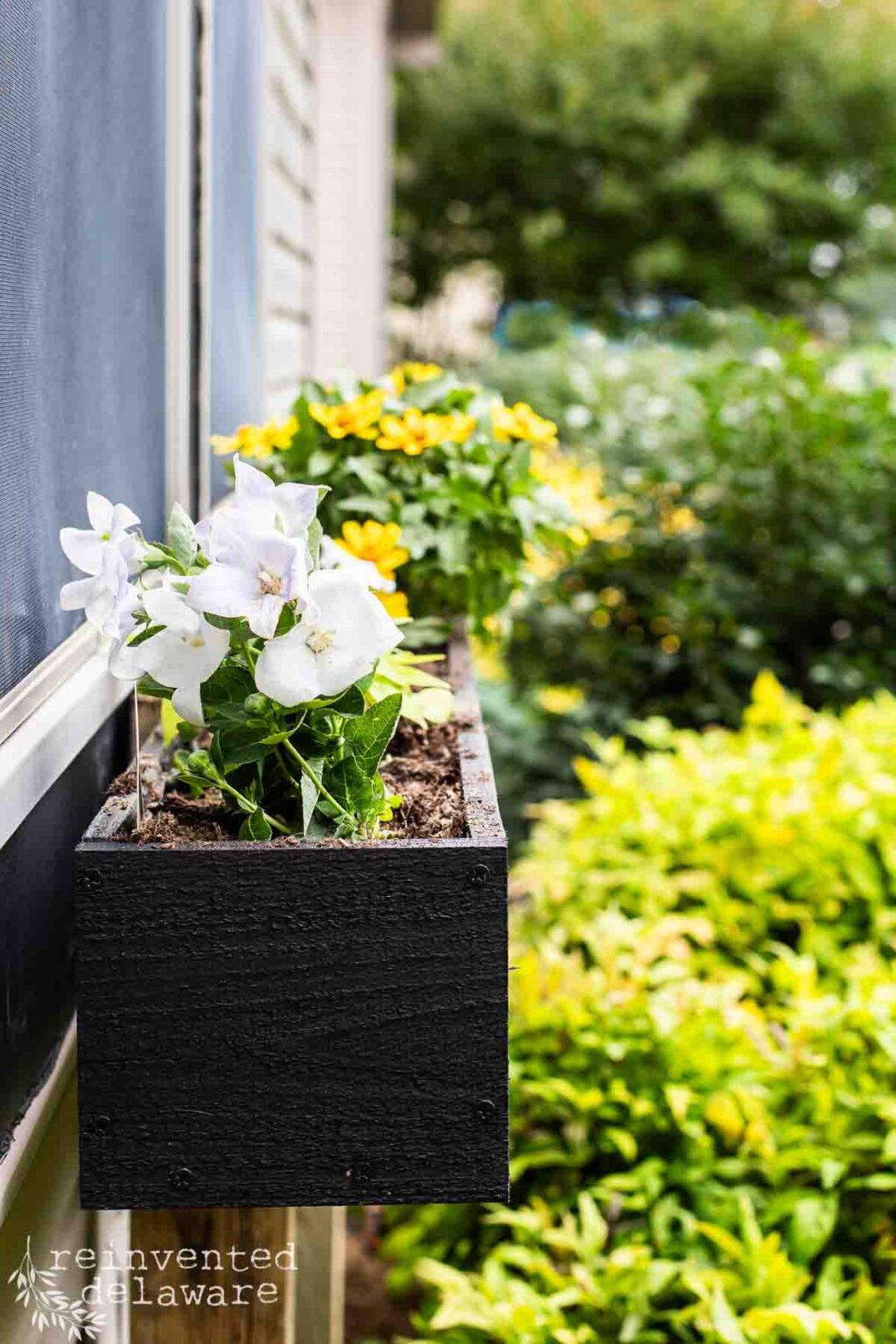 Build Your Own Charming Window Boxes With Fence Boards Reinvented
