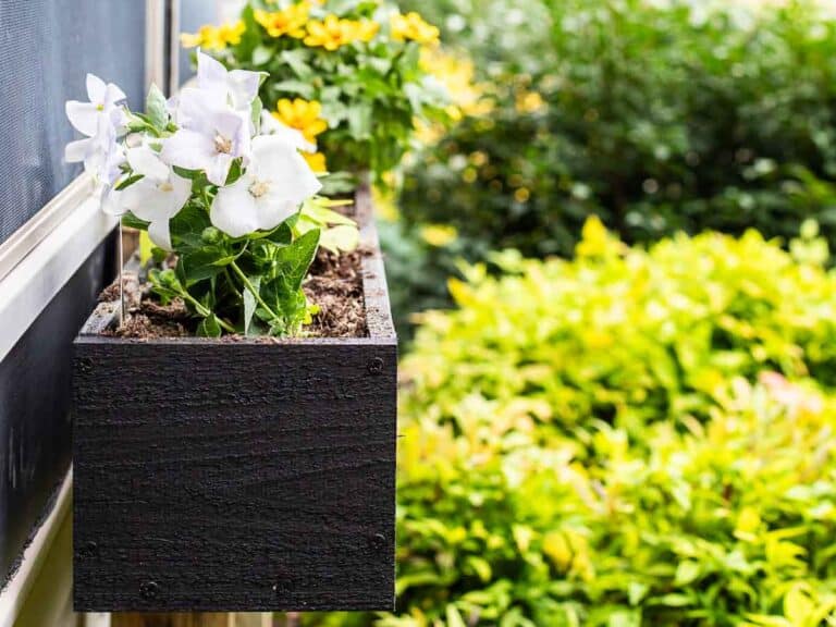 Build Your Own Charming Window Boxes with Fence Boards - Reinvented ...
