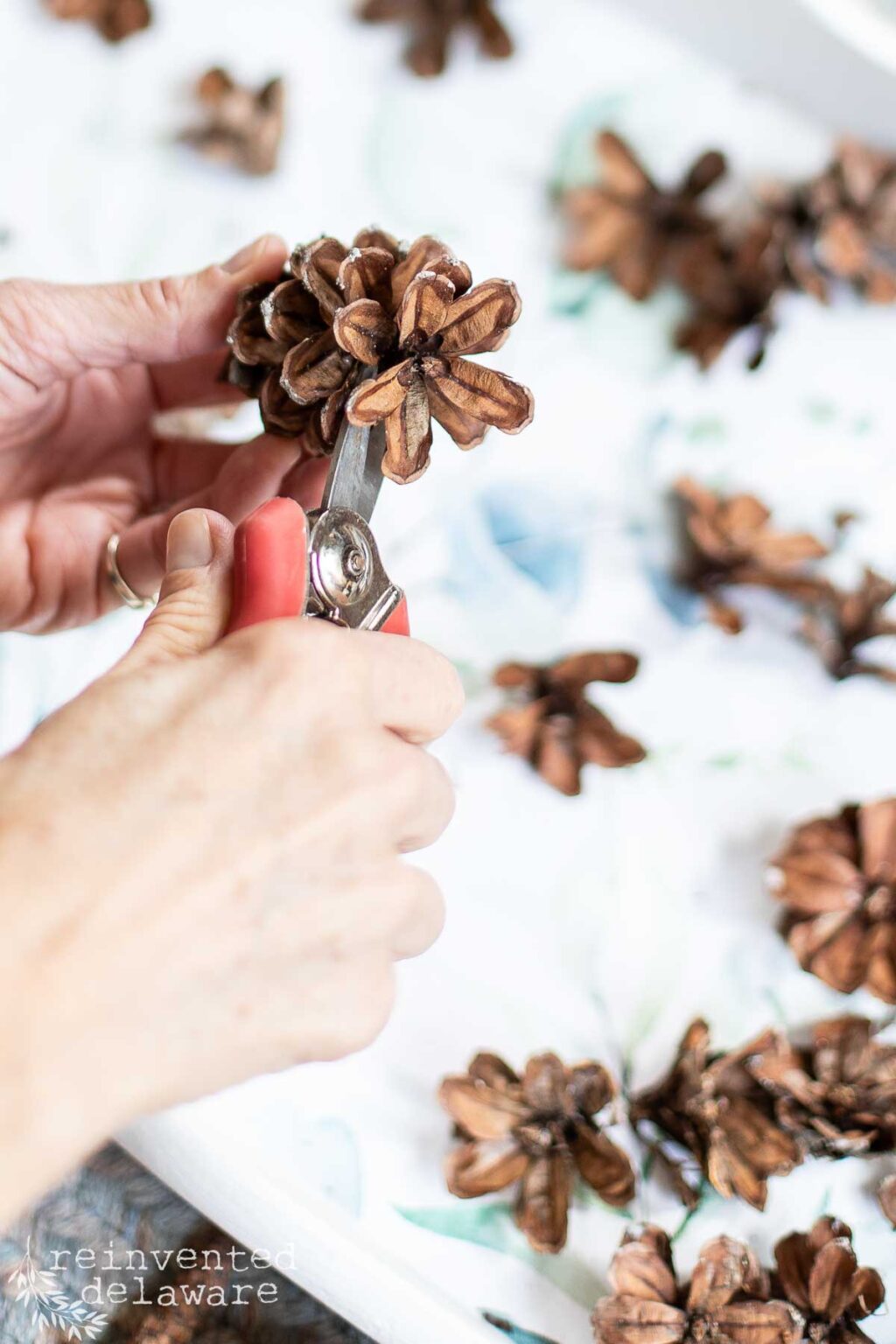 How to Make a Simple and Beautiful DIY Pinecone Wreath - Reinvented ...